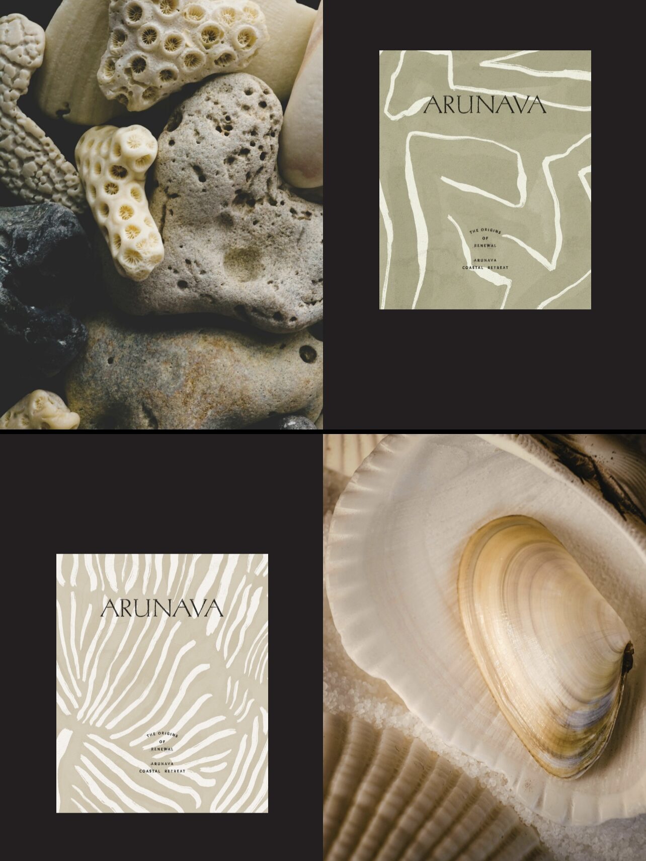 Arunava - duendedesignco.com